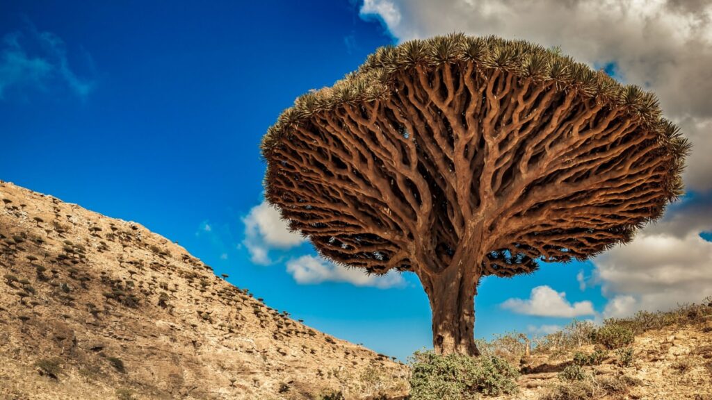 Tired of People? 14 of the Most Remote Places in the World to Add to ...