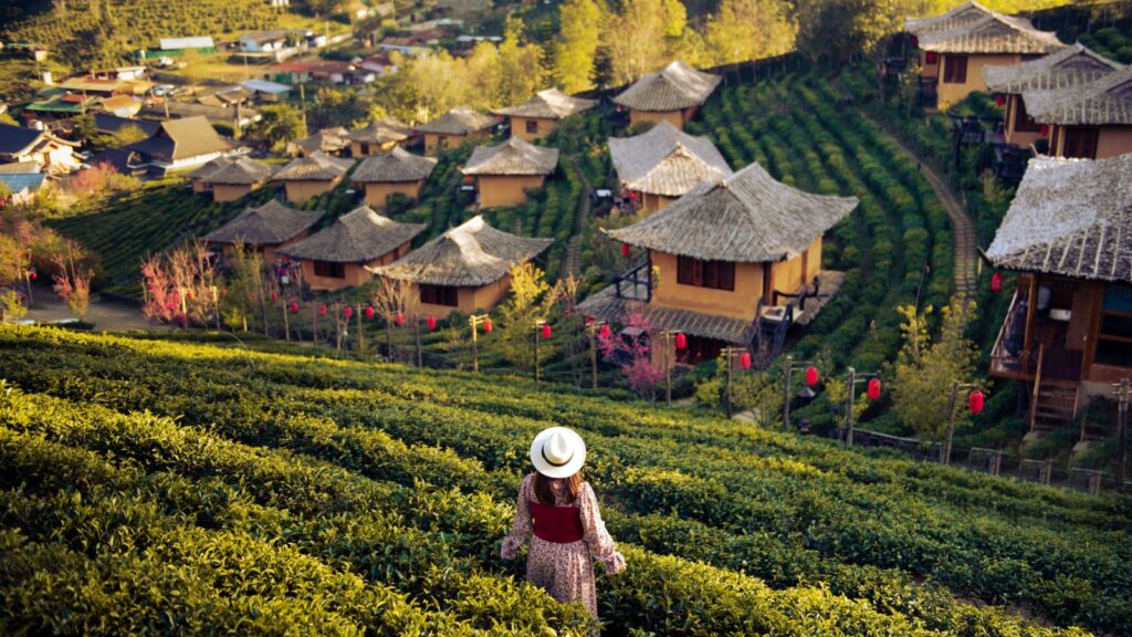 Beyond Tourist Traps: 15 Authentic Experiences to Immerse Yourself in ...